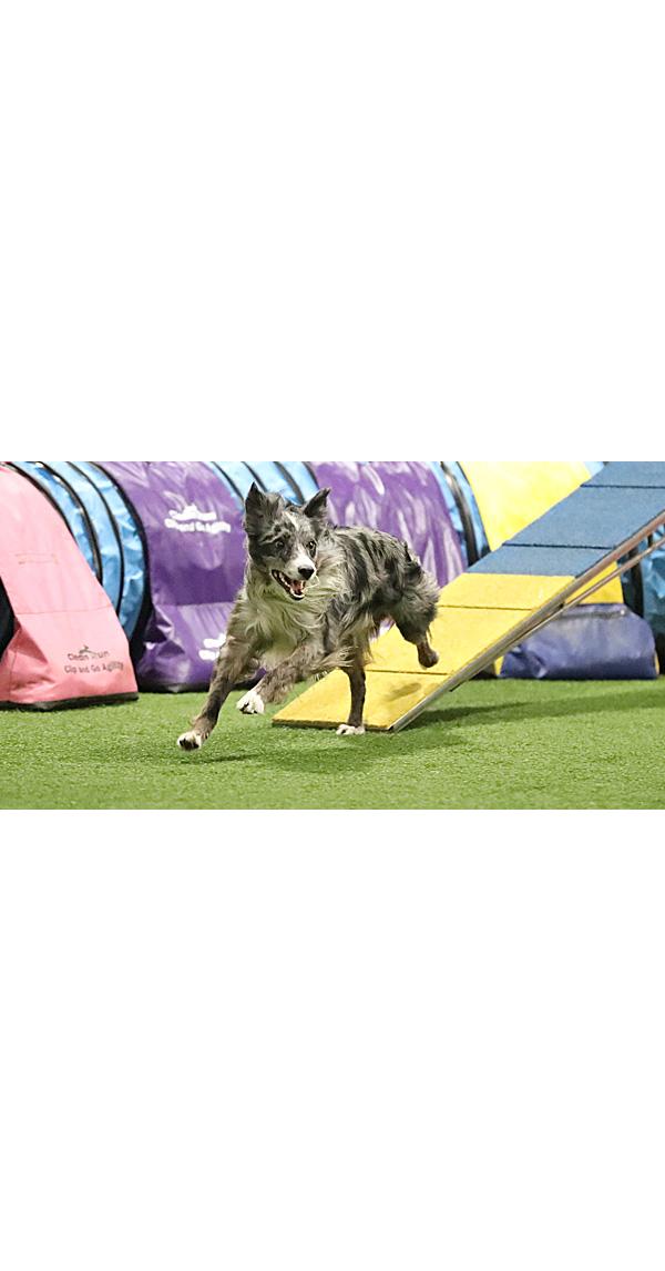 Fantastic Foundations for Running Contacts - Clean Run